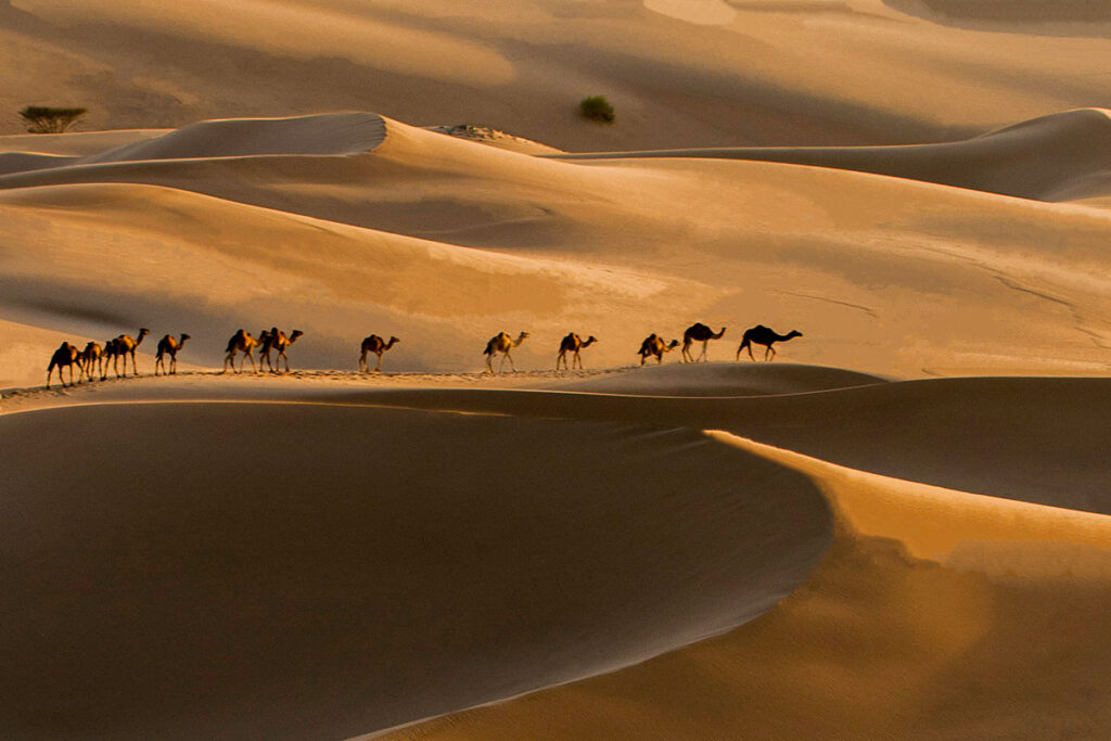 The World's Largest Sand Desert » Perfect Journeys